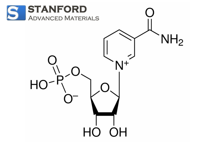 β-Nicotinamide Mononucleotide, NMN, CAS 1094-61-7 | Stanford Advanced ...