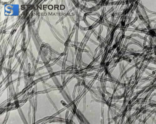 Vertical Array of Transferred Carbon Nanotubes | Stanford Advanced ...