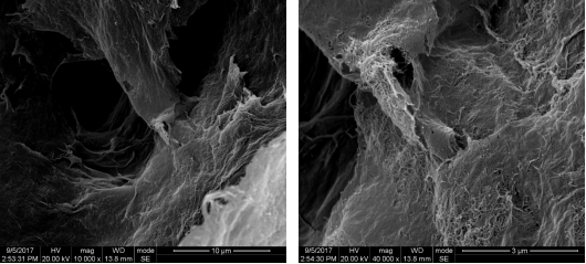 Aerogel de grafeno dopado con CNT | Stanford Advanced Materials