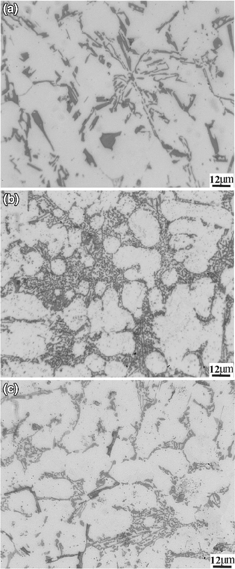 Rare Earth Metals Used as Eutectic Silicon Modifier