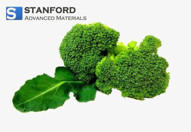 Pó de Sulforafano (Extrato de Broto de Brócolis) à Venda | Stanford ...