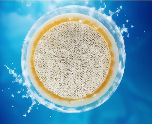 Navigating the World of Membrane Filters: Types, Uses, and Benefits (Ⅰ)