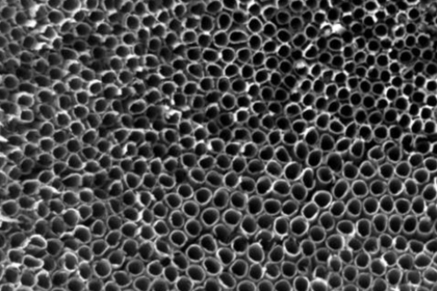 Navigating the World of Membrane Filters: Types, Uses, and Benefits (Ⅱ)