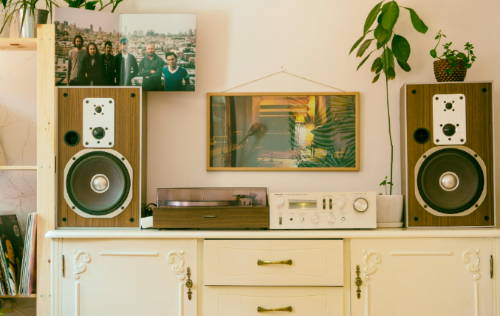The Evolution of Speaker Magnets