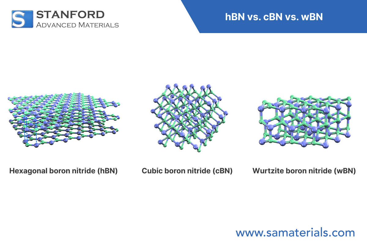 HBN, CBN, and WBN: A Comparative Analysis of Boron Nitride Polymorphs