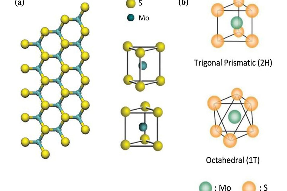 Molybdenum Disulfide Crystals: Structure, Growth, and Performance