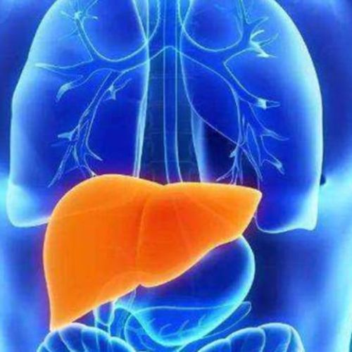 Liver Protection