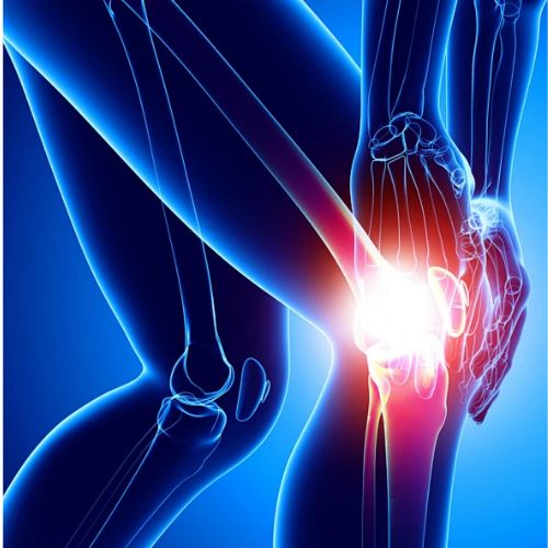 Supplement for Joint & Bone Care